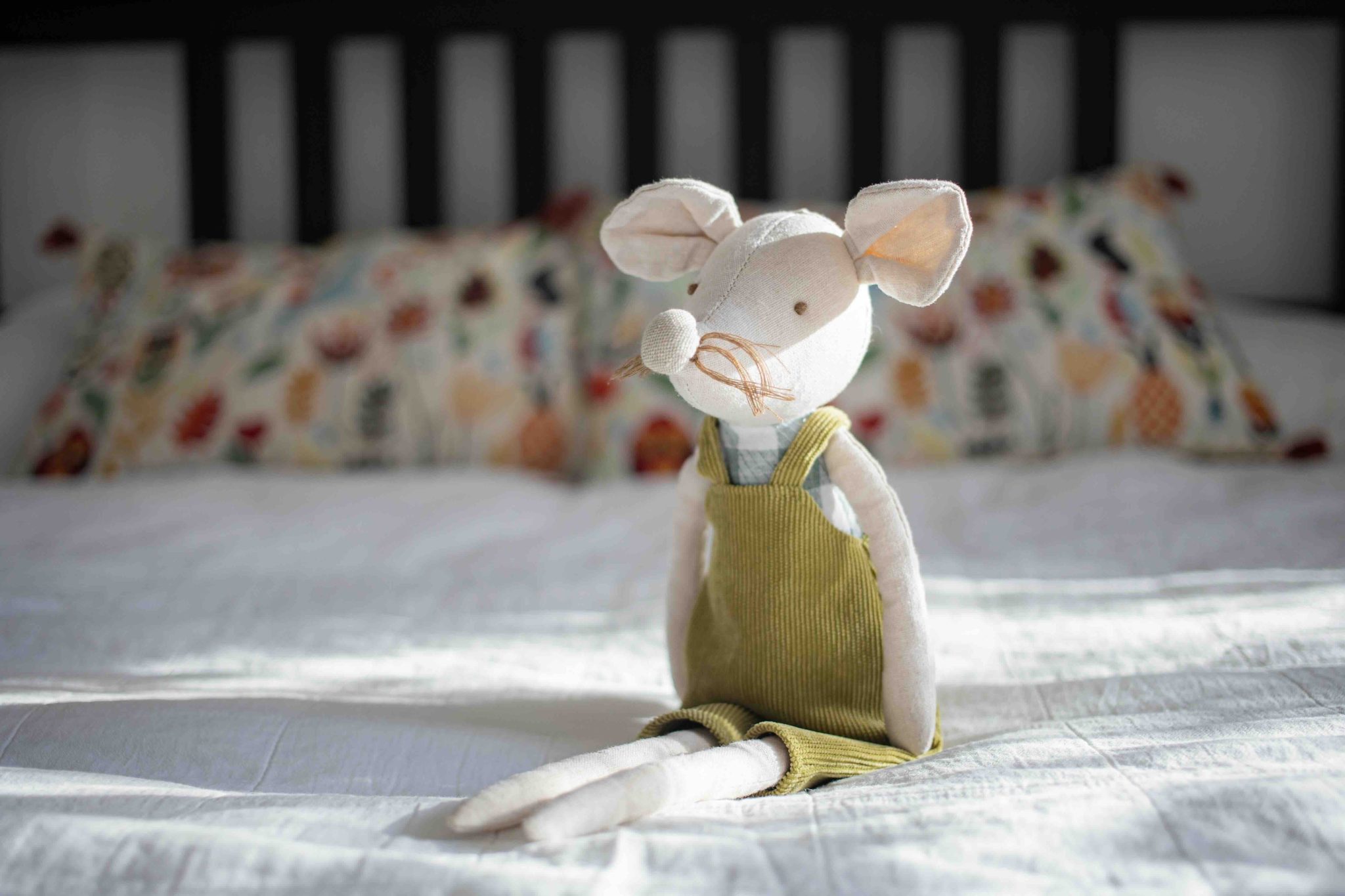 7 Tooth Fairy Traditions From Around the World – ABG Dental